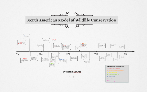 North American Model of Wildlife Conservation by Natalie Schwab on Prezi
