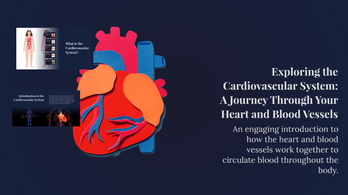 Exploring the Cardiovascular System: A Journey Through Your Heart and ...