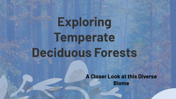 Exploring Temperate Deciduous Forests by Rachelle Long on Prezi