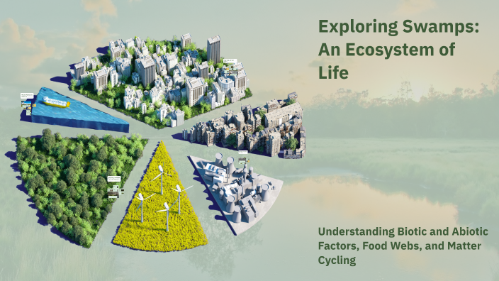 Exploring Swamps: An Ecosystem of Life by Ngoc Hoang on Prezi