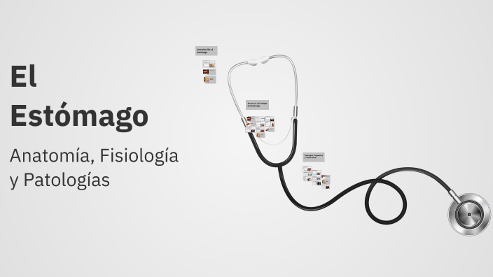 El Estómago by Ana Pao Nava on Prezi