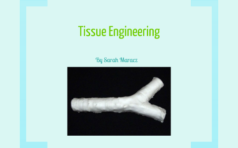 Lab Grown Body Parts by Sarah Maracz on Prezi