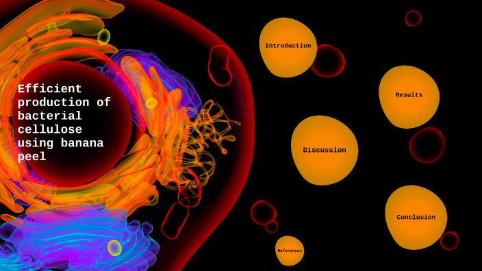 Cellulose lab by Rugile Vitartaite on Prezi