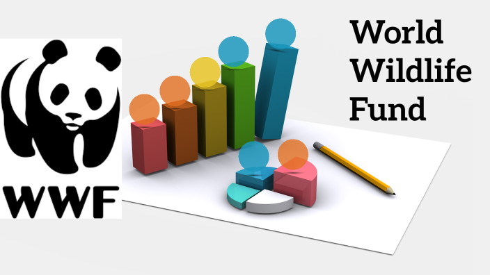 Sam by Madelynn Boop on Prezi