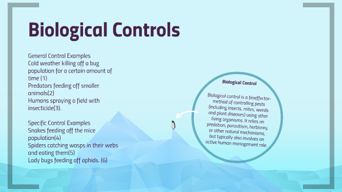 Biological control is a bioeffector-method of controlling pe by Jadyn ...