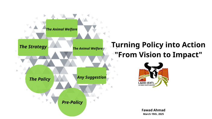 Turning Policy into Action - From Vision to impact by Fawad Ahmad on Prezi
