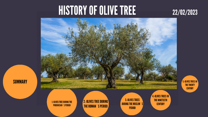 HISTORY OF OLIVES TREES by Joaquín Pérez Pérez on Prezi