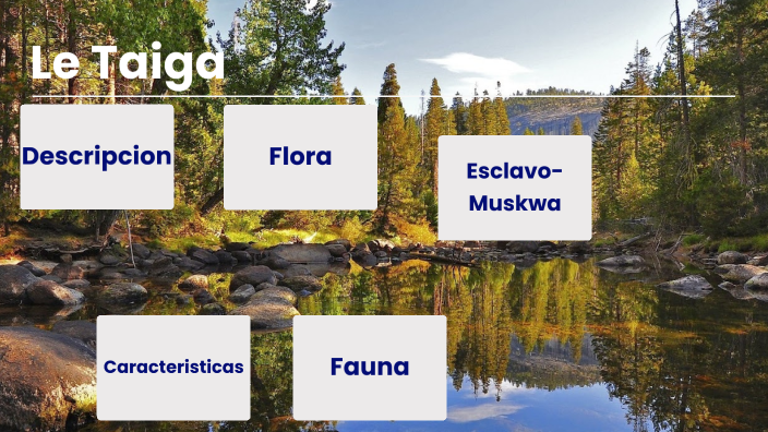 Taiga by Luis Daniel Ramirez Torres on Prezi