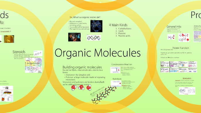 Biochemistry: Organic Molecules by Alan Allmen on Prezi