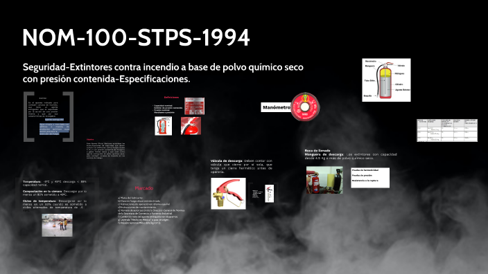 nom 100 by KARLA MARIANA PEREZ FERNANDEZ on Prezi