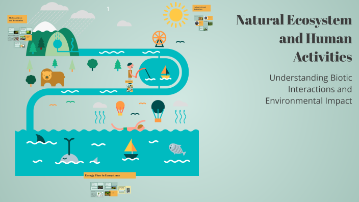 Natural Ecosystem and Human Activities by Gaikwad Sudarshan Sudamrao on ...