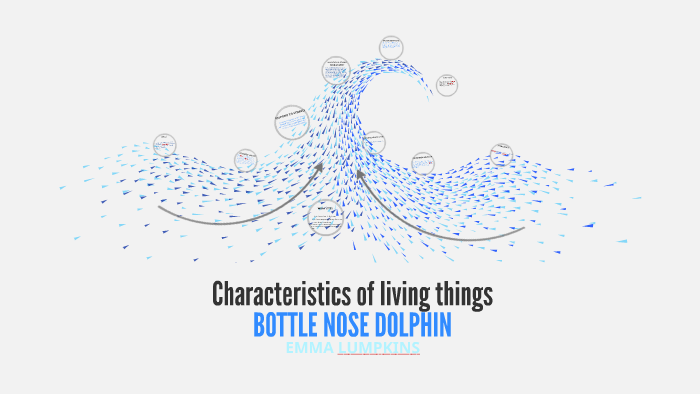 Characteristics of living things by emma lumpkins on Prezi