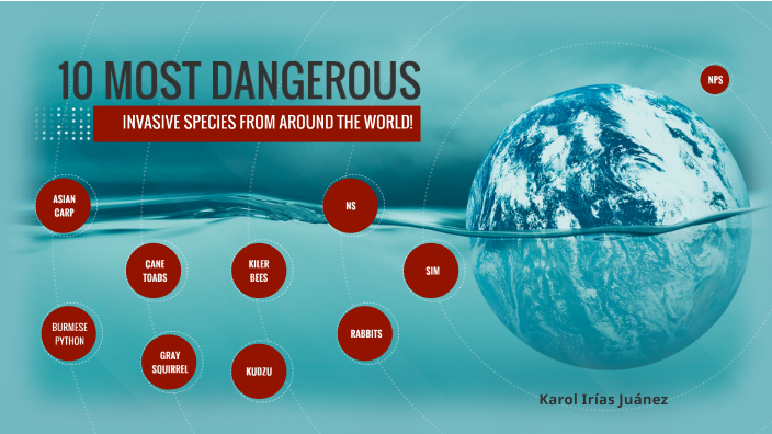 10 most dangerous invasive species from around the world by Karol ...