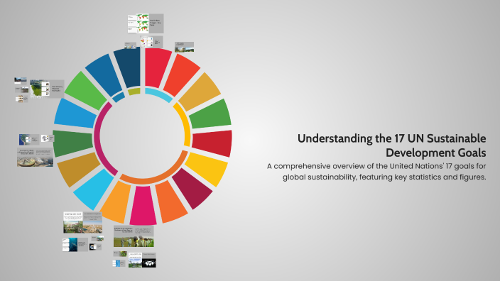 Understanding the 17 UN Sustainable Development Goals by Niall Raby on ...