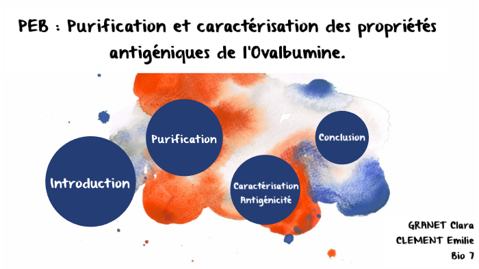 Purification et caractérisation des propriétés antigéniques de l ...