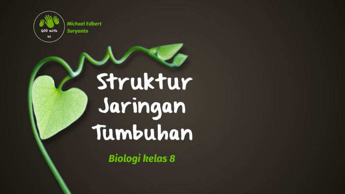 Struktur Jaringan Tumbuhan by Michael Edbert on Prezi
