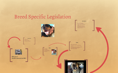 Breed Specific Legislation by on Prezi