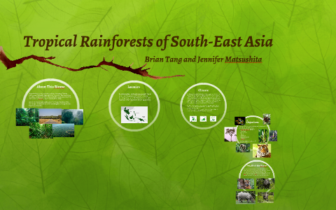 Tropical Rainforests of South-East Asia by Brian Tang on Prezi