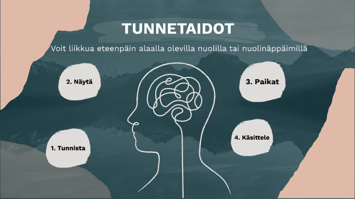 Tunnetaidot by Timo Kekkonen on Prezi