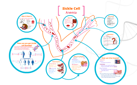 Sickle Cell Anemia Bio Project by Joy Patel on Prezi