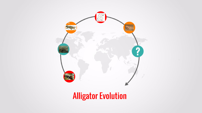 Alligator evolution by Samantha De Leos on Prezi