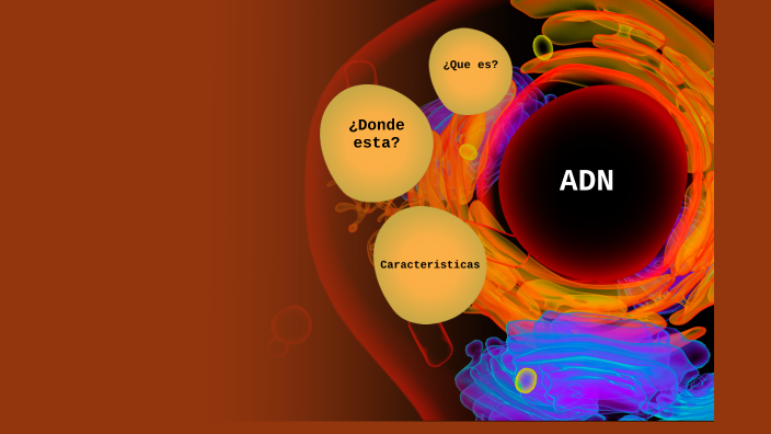 Evaluacion de aprendizajes by Isaac Carranza on Prezi