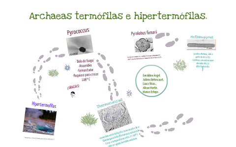 Bacterias termófilas e hipertermófilas by Geral Angel on Prezi