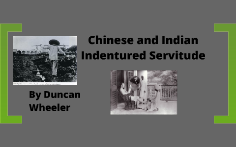 Chinese and Indian Indentured servitude by Duncan Wheeler on Prezi