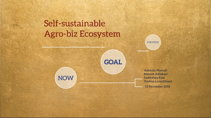 Self-sustainable Agrobiz Ecosystem by Ashmita Mainali on Prezi