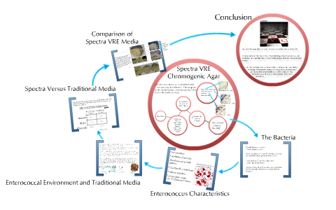 Spectra VRE by Justin Lussier on Prezi