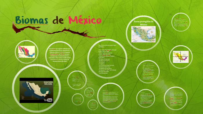 Biomas de Mexico by Max Espinosa on Prezi