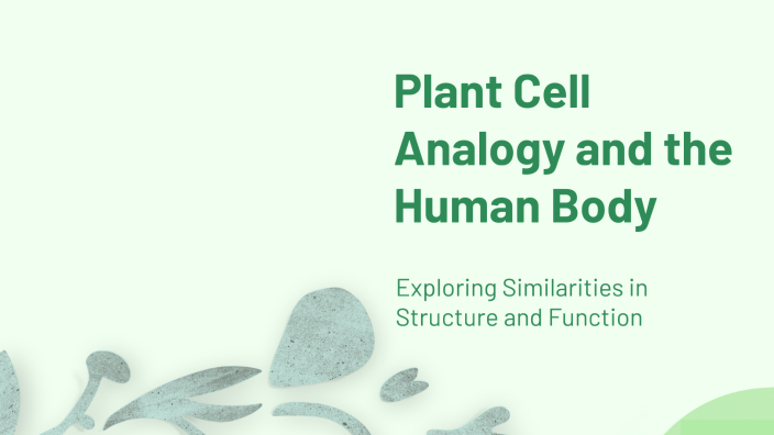 Plant Cell Analogy: Comparing to the Human Body by brielle inigo on Prezi