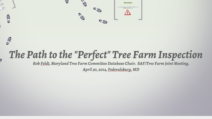 The Path to the Perfect Tree Farm Inspection by Robert Feldt on Prezi