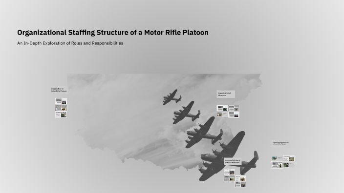 Organizational Staffing Structure of a Motor Rifle Platoon by Софья ...