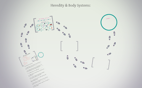 Heredity & Body Systems by Jeanine Granada on Prezi