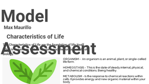 Assessment Model by Max Maurillo on Prezi Design
