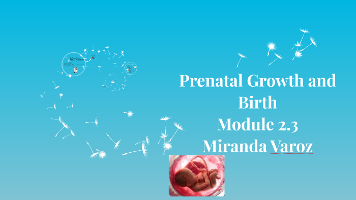 Prenatal Growth and Birth by Miranda Varoz on Prezi