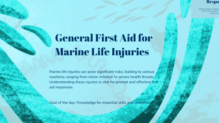 General First Aid for Marine Life Injuries by laila payette on Prezi