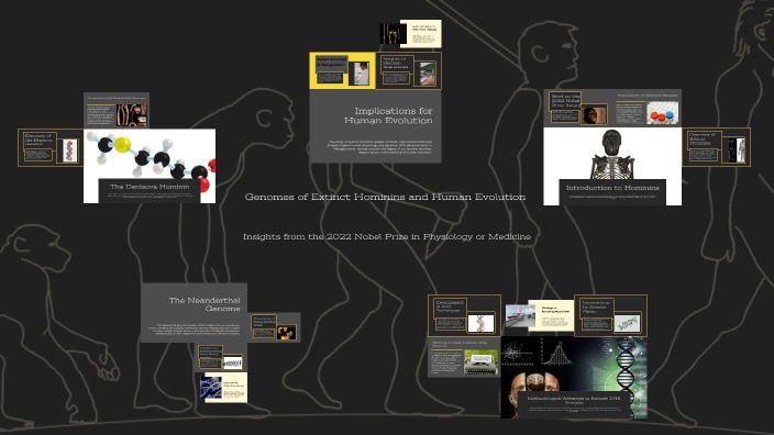 Genomes of Extinct Hominins and Human Evolution by Murad Mehdizadə on Prezi