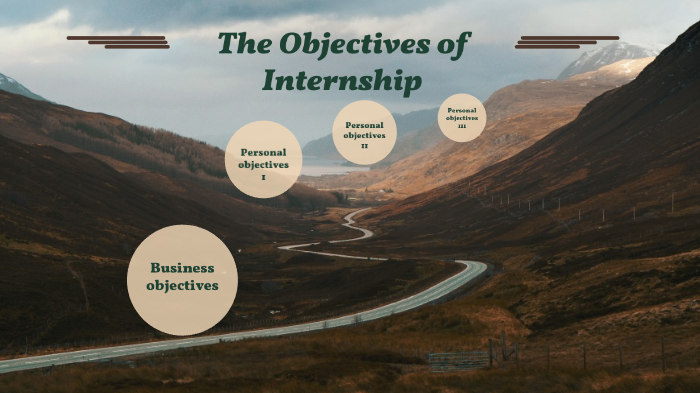 Objectives of internship by Jiayun XU on Prezi