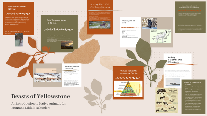 MOR Program Summary by Shannon Werbeach on Prezi