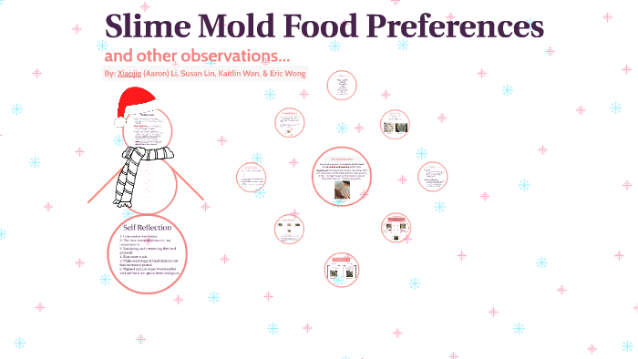 Slime Mold Food Preferences by Kaitlin Wan on Prezi