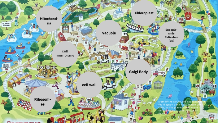 cells park by Vicky Yang [Student] on Prezi