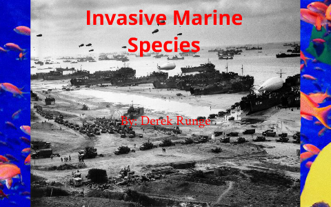 Invasive species by Derek Runge on Prezi