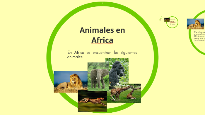 animales en Africa by fernanda reyes on Prezi