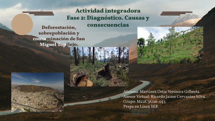 Actividad integradora Fase 2: Diagnóstico. Causas y consecuencias by Veronica Martinez ortiz on ...