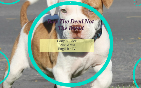 Ban the deed not the breed by cody bullock on Prezi