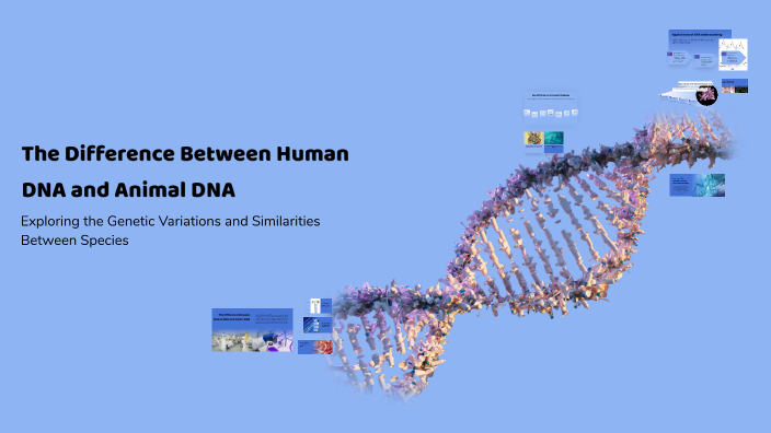 The Difference Between Human DNA and Animal DNA by Zeyad Sherif on Prezi