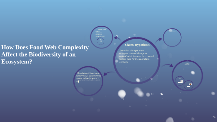 How Does Food Web Complexity Affect the Biodiversity of an e by ...