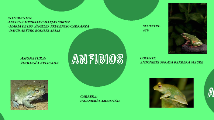 ANFIBIOS by David Rosales on Prezi